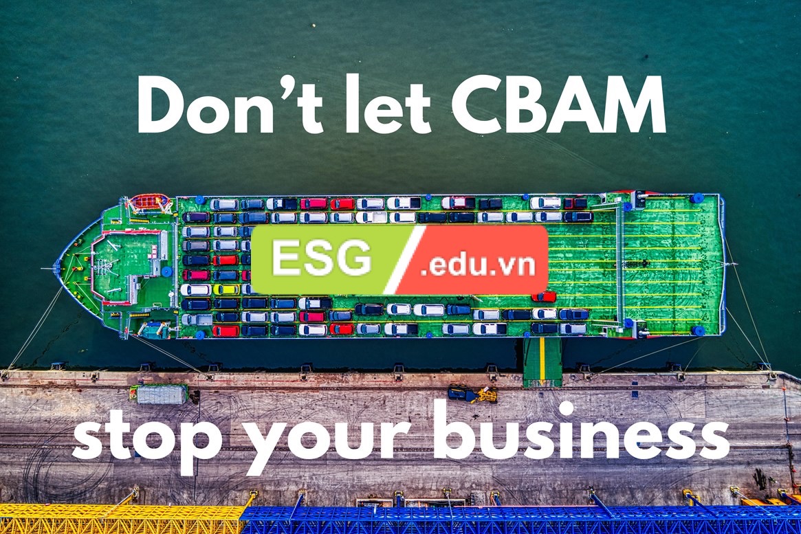 CBAM Calculator & Reporting – Công Cụ Hỗ Trợ Doanh Nghiệp Việt Nam Tuân Thủ Cơ Chế Điều Chỉnh ...